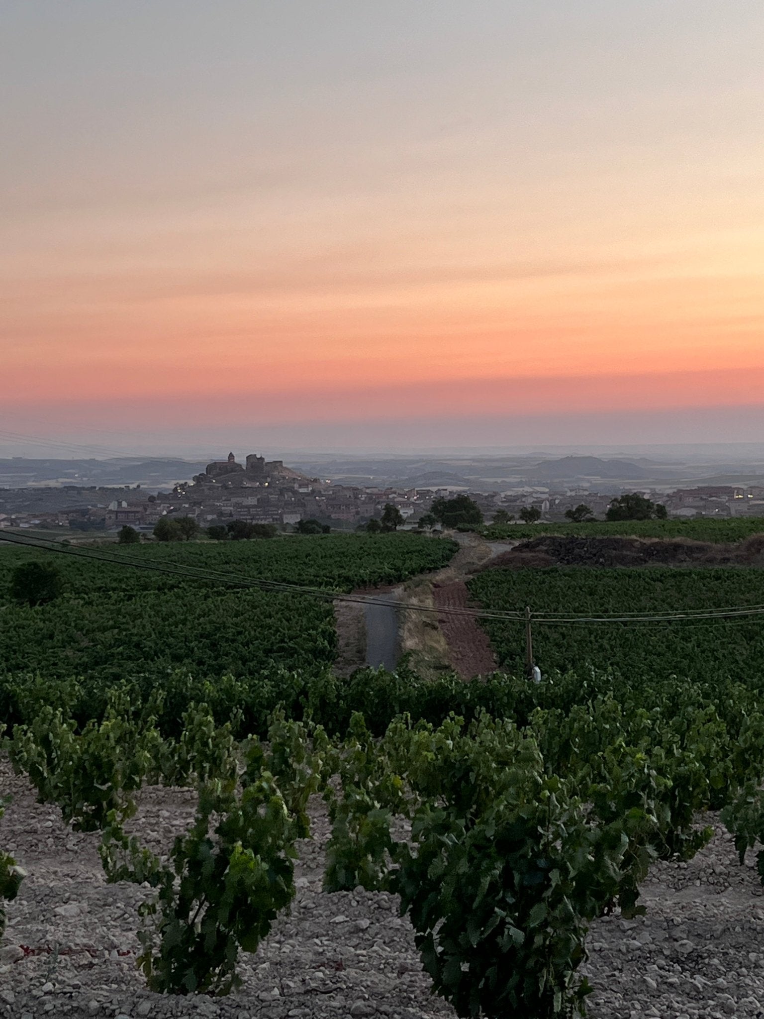 A Guide to Rioja: Spain’s Most Recognized Wine Region – The Spanish Table